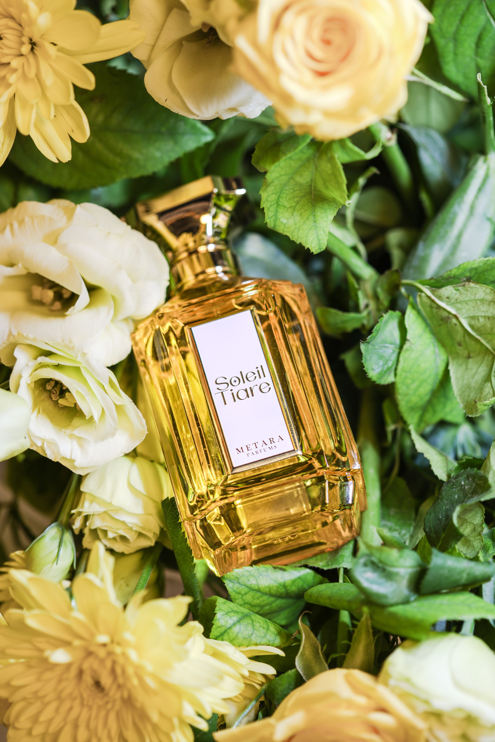 Les essentiels de la saison – Metara